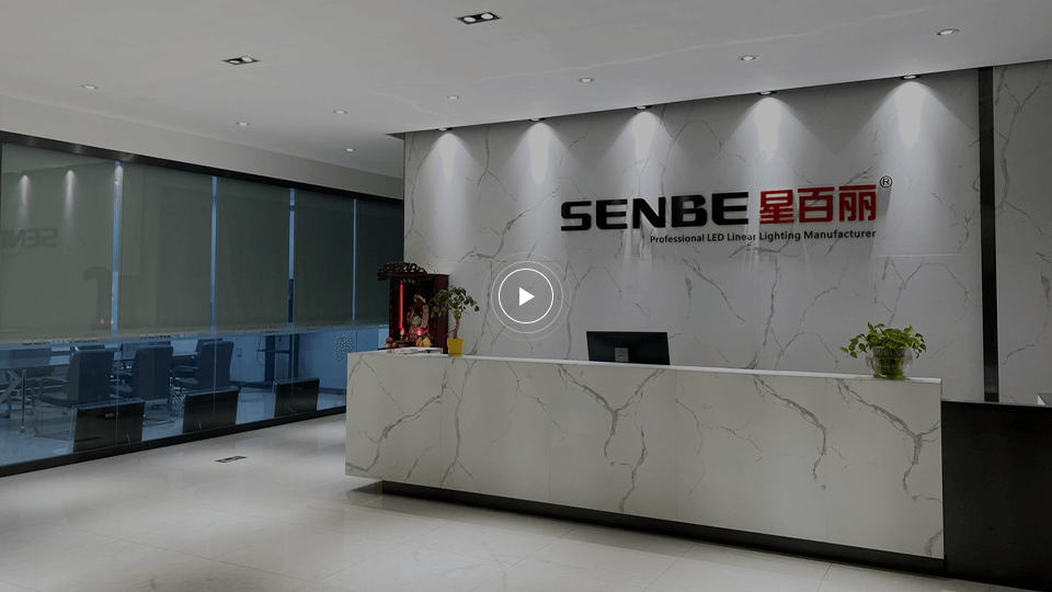 LED Neon Flex Supplier - Senbe Lighting